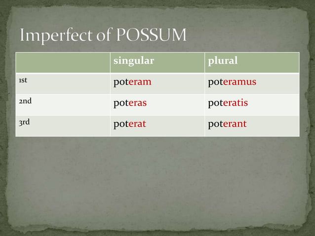 Chapter 5 Possum | PPT