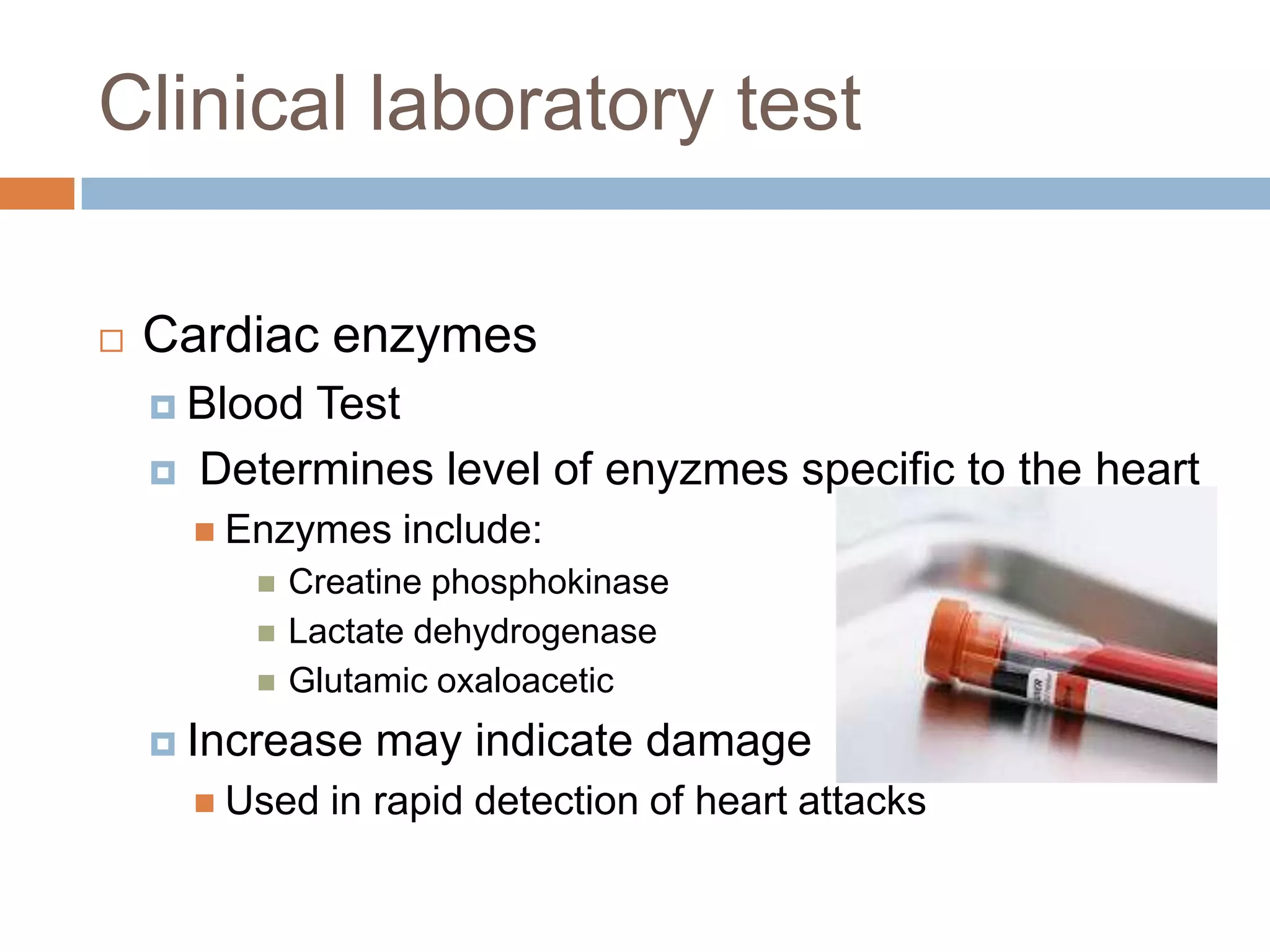 Chapter 5 powerpoint | PPTX