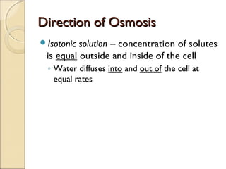 Chapter 5 powerpoint | PPT