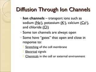 Chapter 5 powerpoint | PPT
