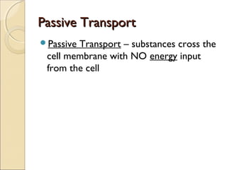 Chapter 5 powerpoint | PPT