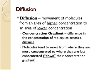 Chapter 5 powerpoint | PPT