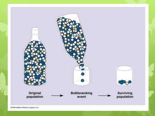 Biological Science Chapter 5 | PPT