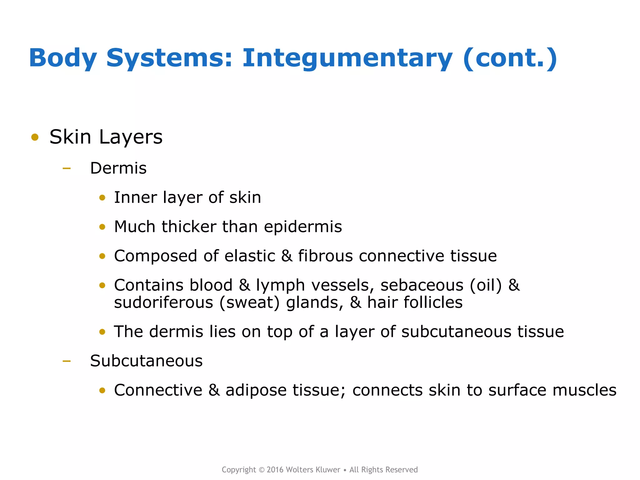 Chapter 5 powerpoint | PPT