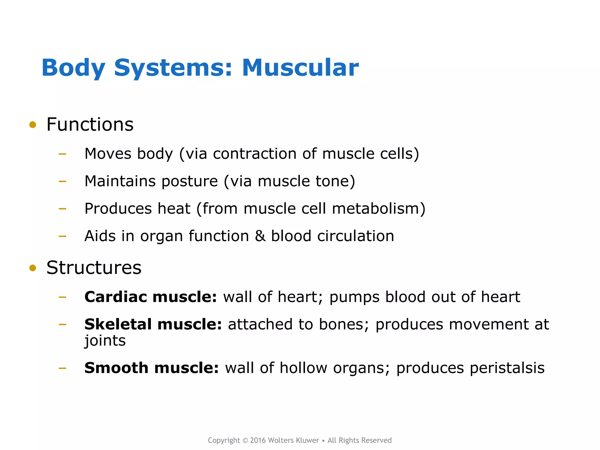 Chapter 5 powerpoint | PPT