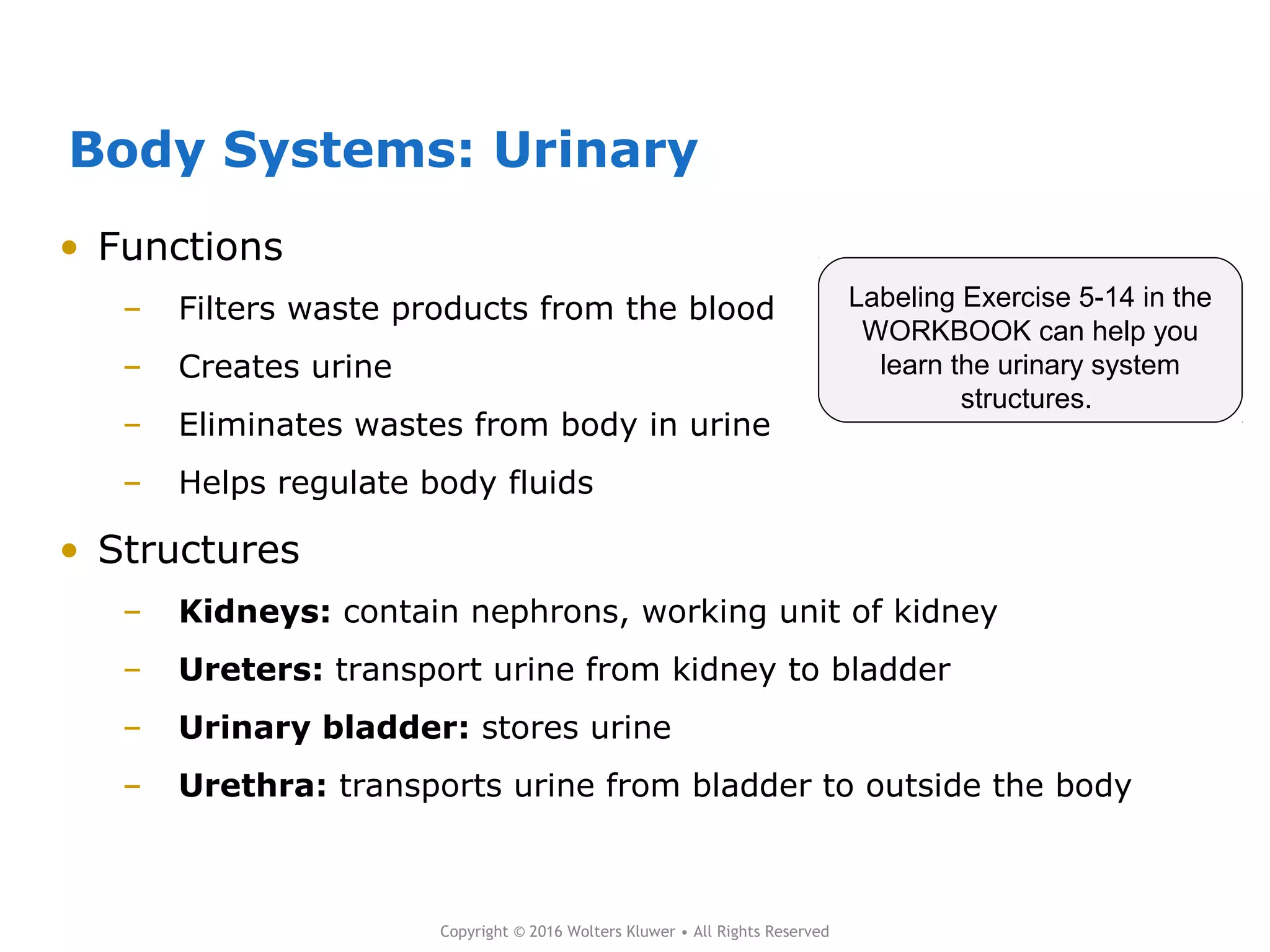 Chapter 5 powerpoint | PPT