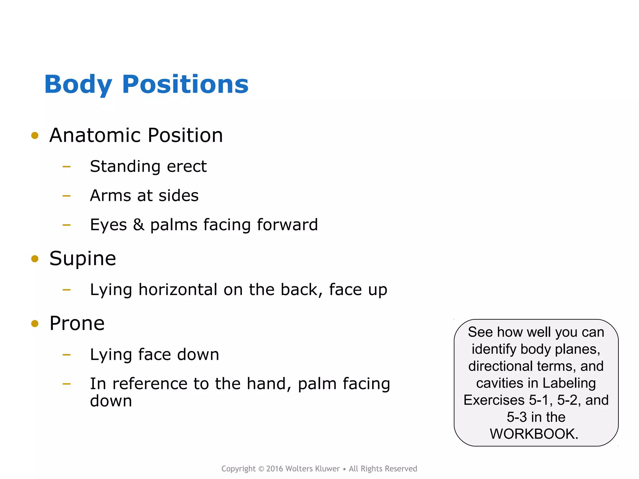 Chapter 5 powerpoint | PPT