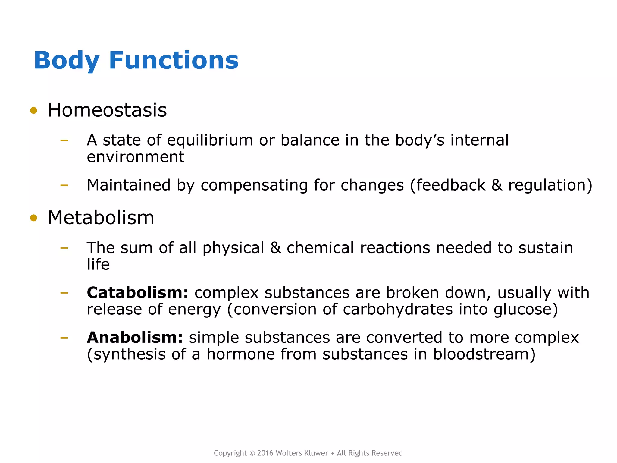 Chapter 5 powerpoint | PPT