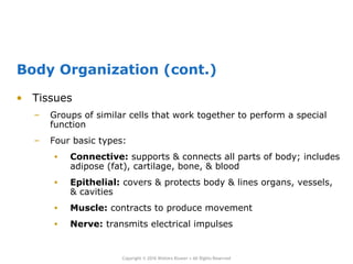 Chapter 5 powerpoint | PPT