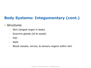 Chapter 5 powerpoint | PPT