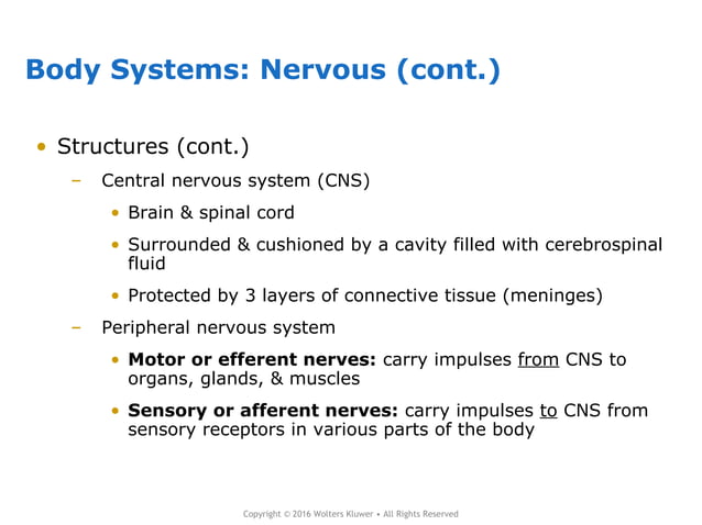 Chapter 5 powerpoint | PPT