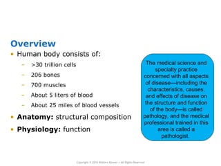 Chapter 5 powerpoint | PPT