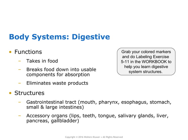 Chapter 5 powerpoint | PPT