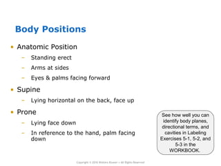 Chapter 5 powerpoint | PPT