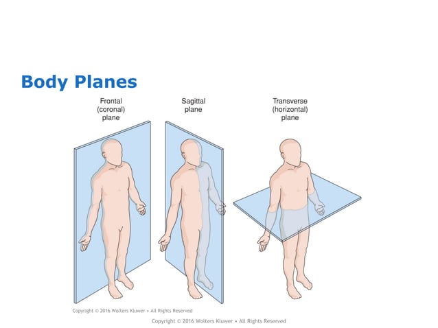 Chapter 5 powerpoint | PPT