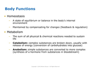 Chapter 5 powerpoint | PPT