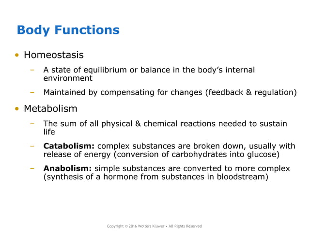 Chapter 5 powerpoint | PPT