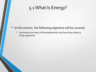 Chapter 5 The Dynamic Cell | PPTX