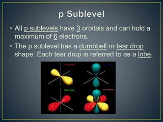 Chapter 5 Powerpoint.pptx