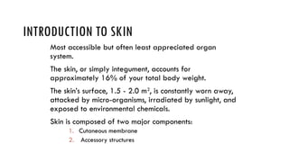BIO 168 Anatomy & Physiology Integumentary System | PPTX