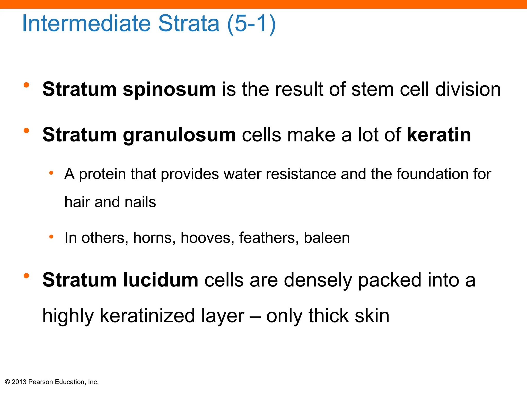 the integumentary system of farm animals | PPT