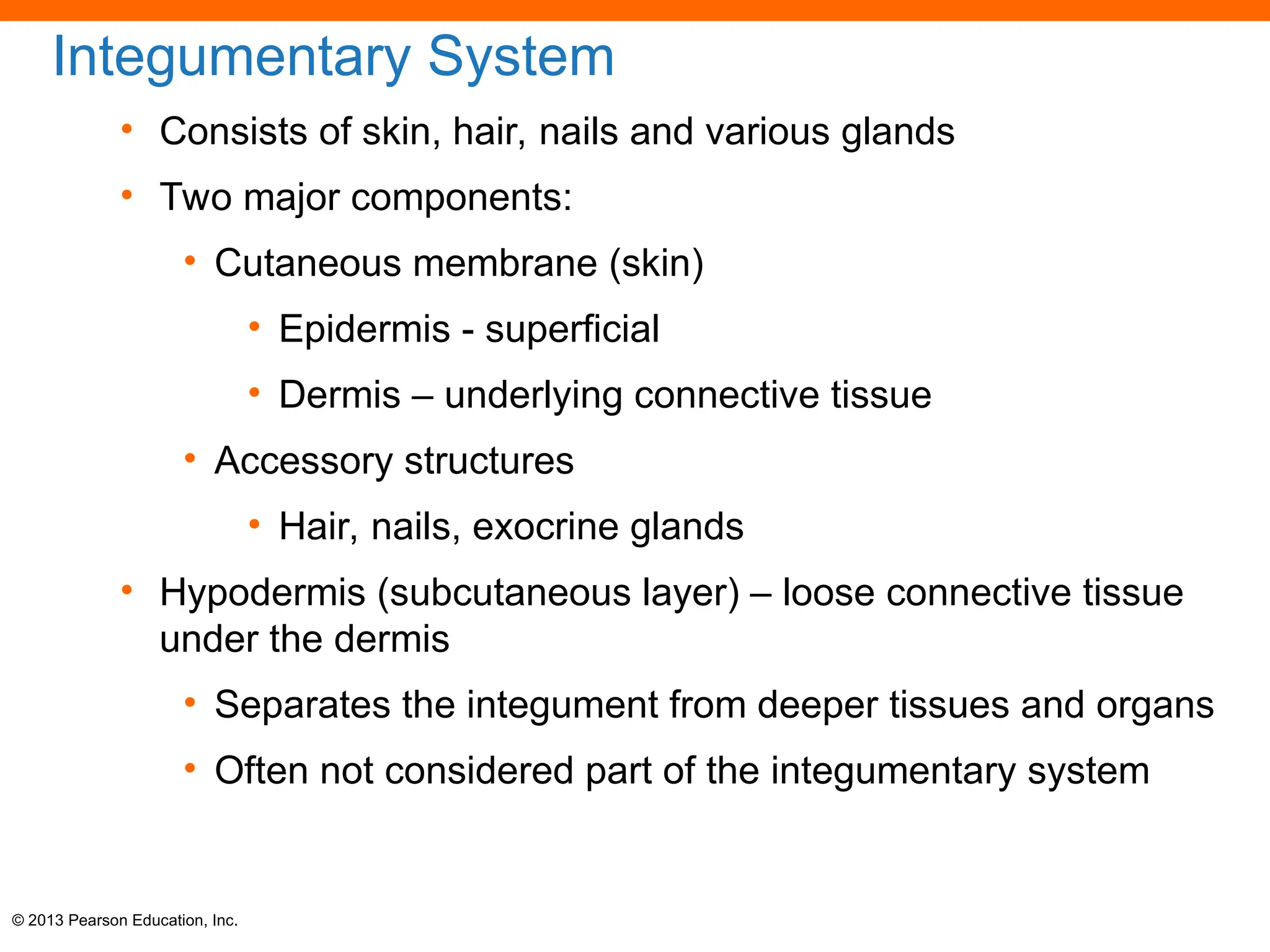 the integumentary system of farm animals | PPT