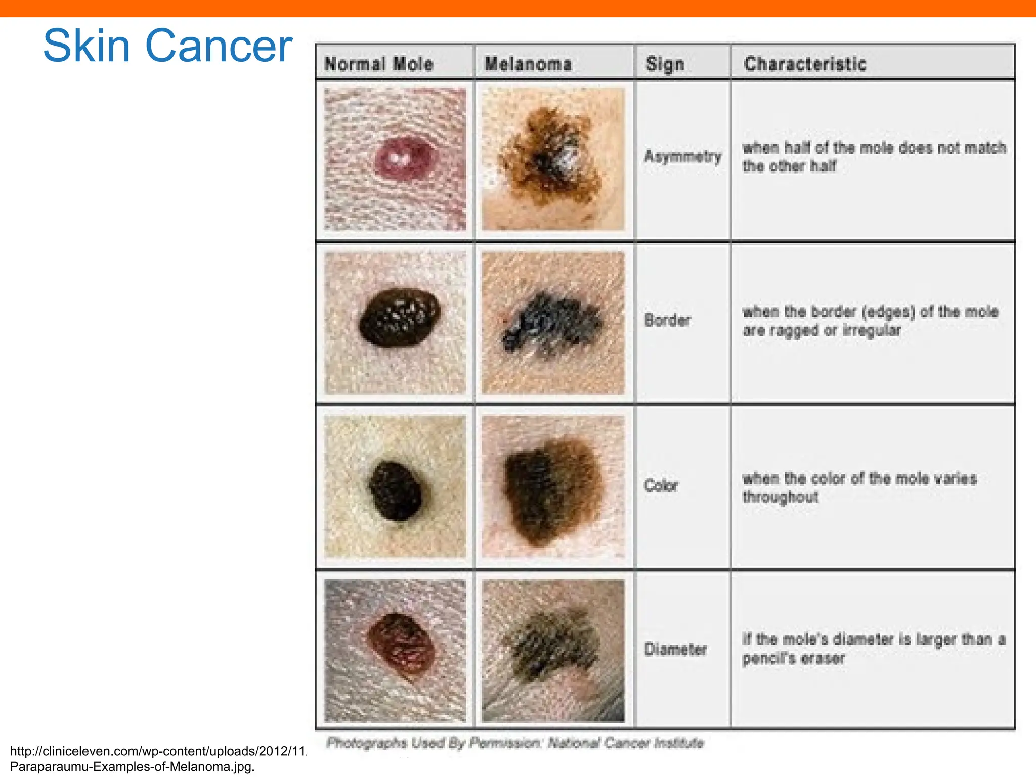 the integumentary system of farm animals | PPT