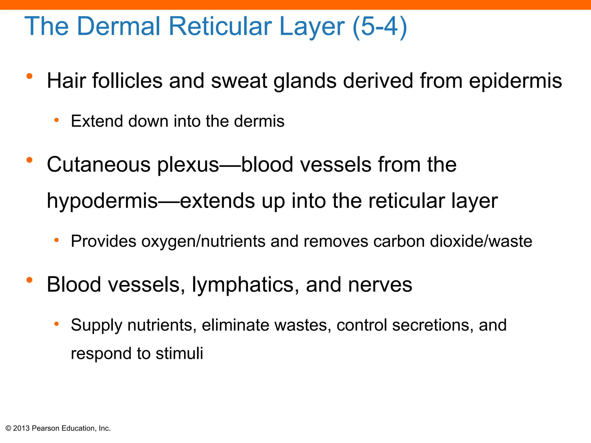 the integumentary system of farm animals | PPT