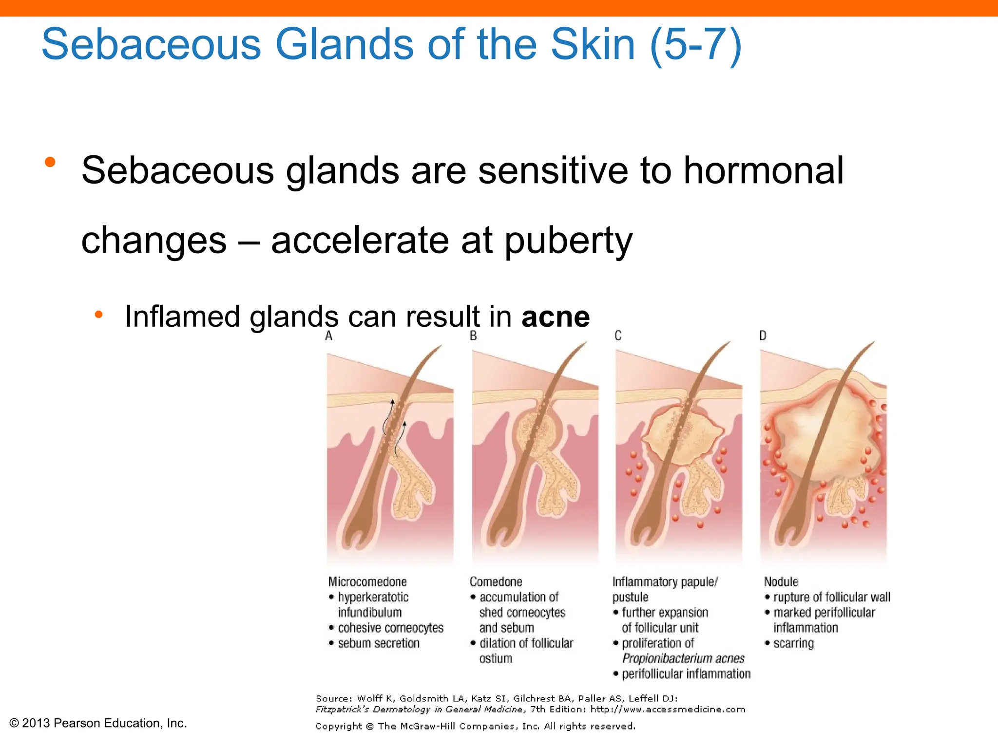 the integumentary system of farm animals | PPT