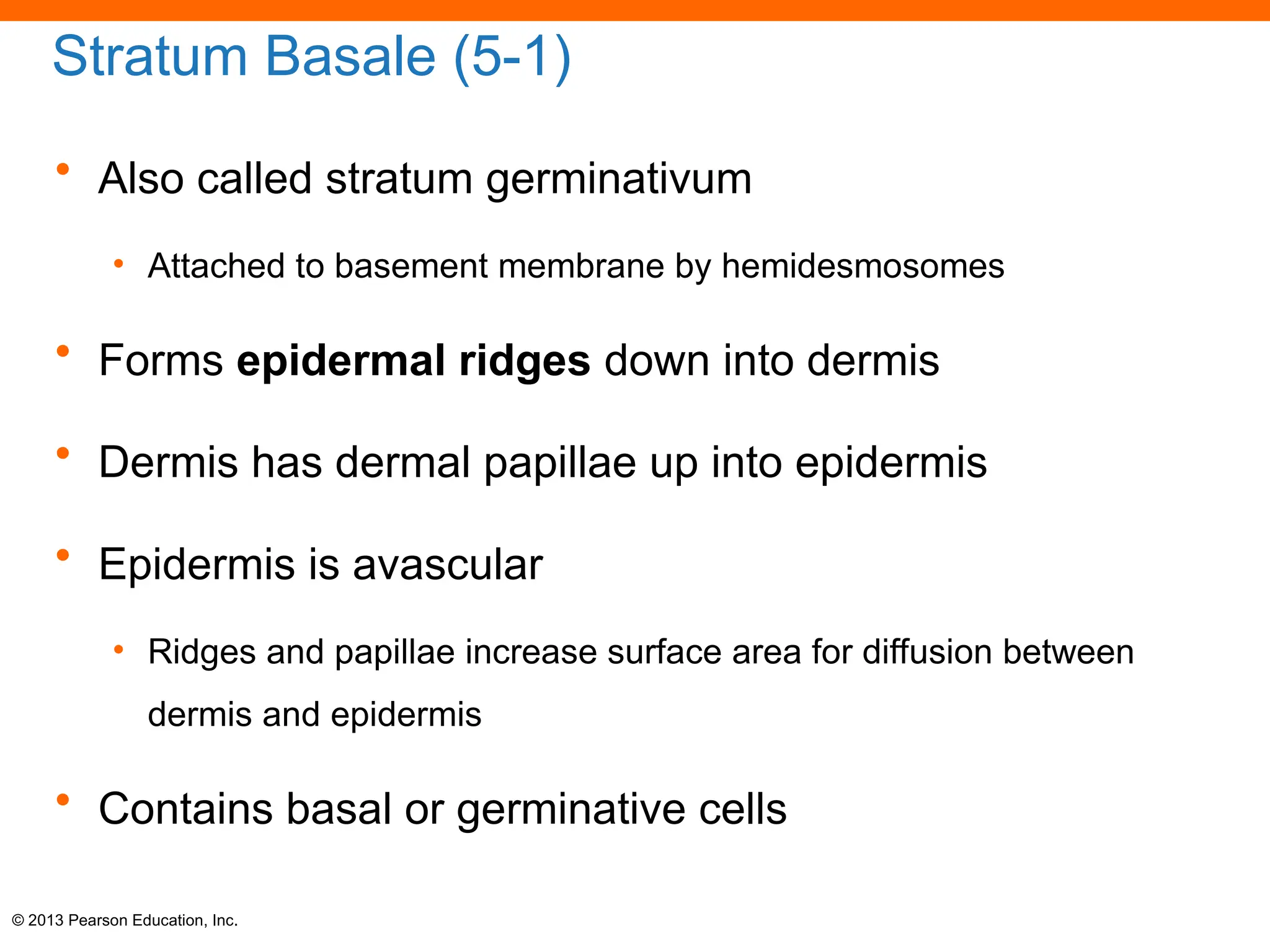 the integumentary system of farm animals | PPT