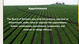 Chapter 5 presentation special & local law | PPTX
