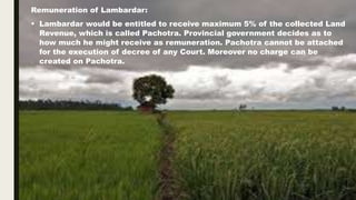 Chapter 5 presentation special & local law | PPTX