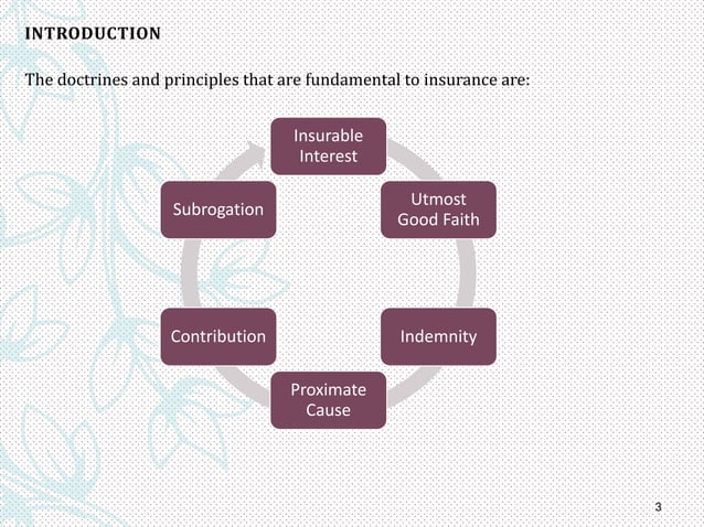 Chapter 5 Principles of Basic Insurance.ppt