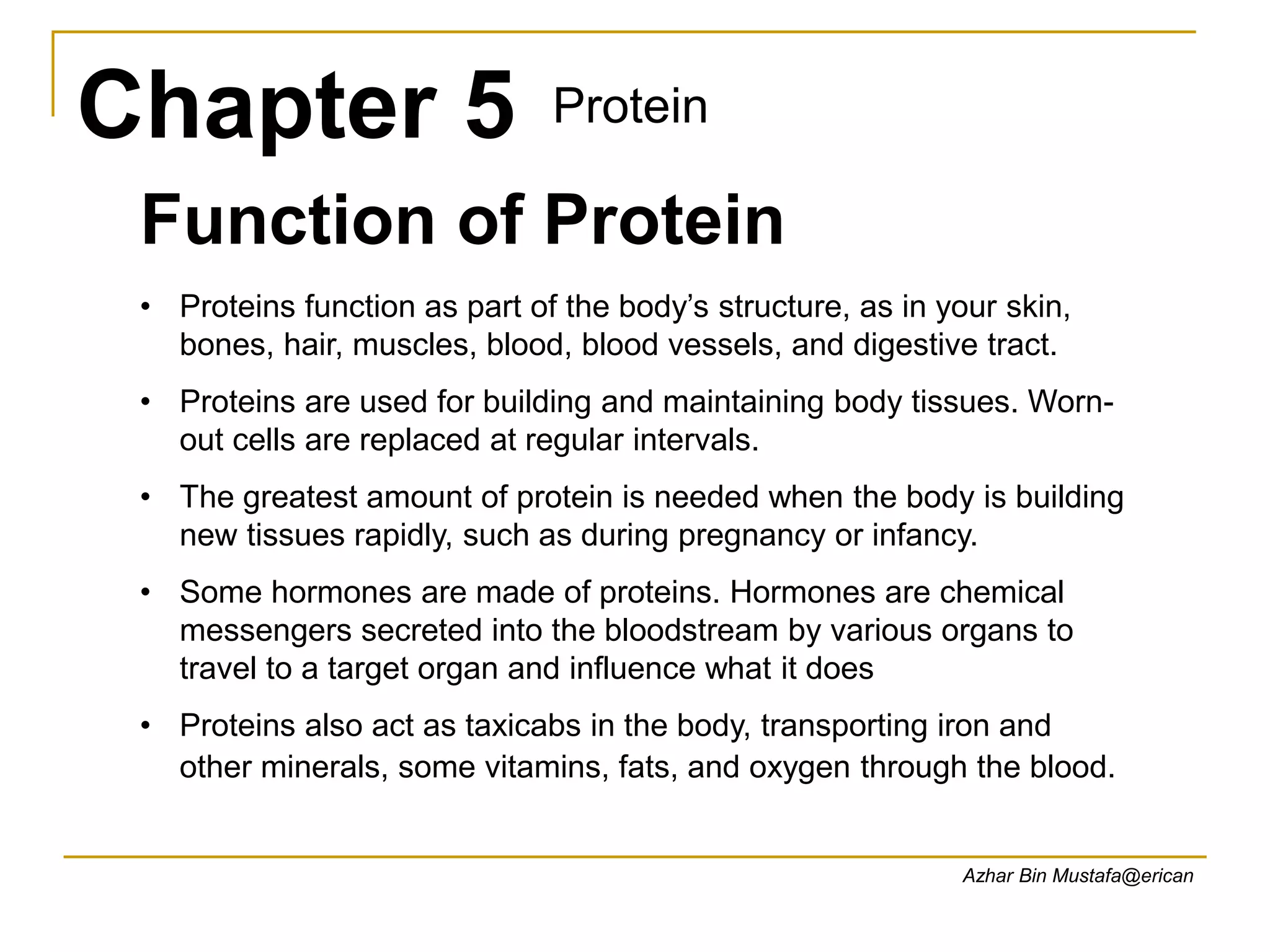 Chapter 5 protein.ppt