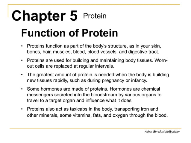 Chapter 5 protein.ppt
