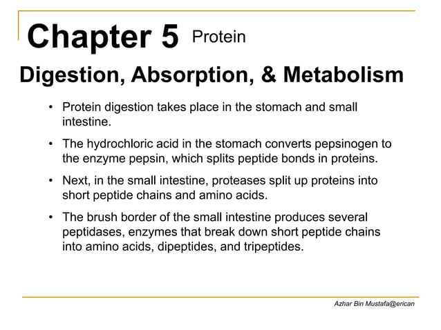 Chapter 5 protein.ppt