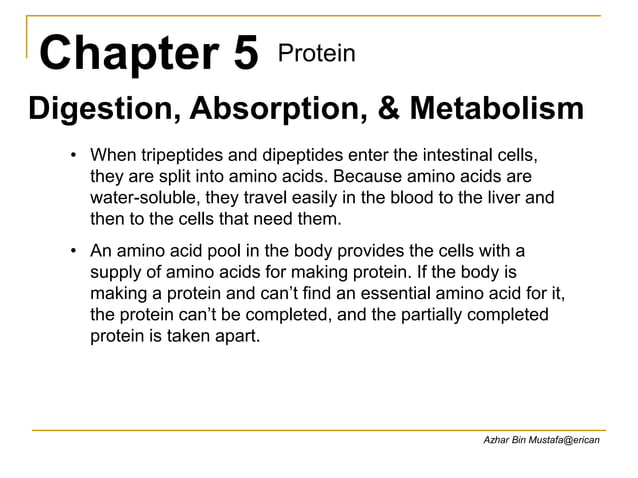 Chapter 5 protein.ppt