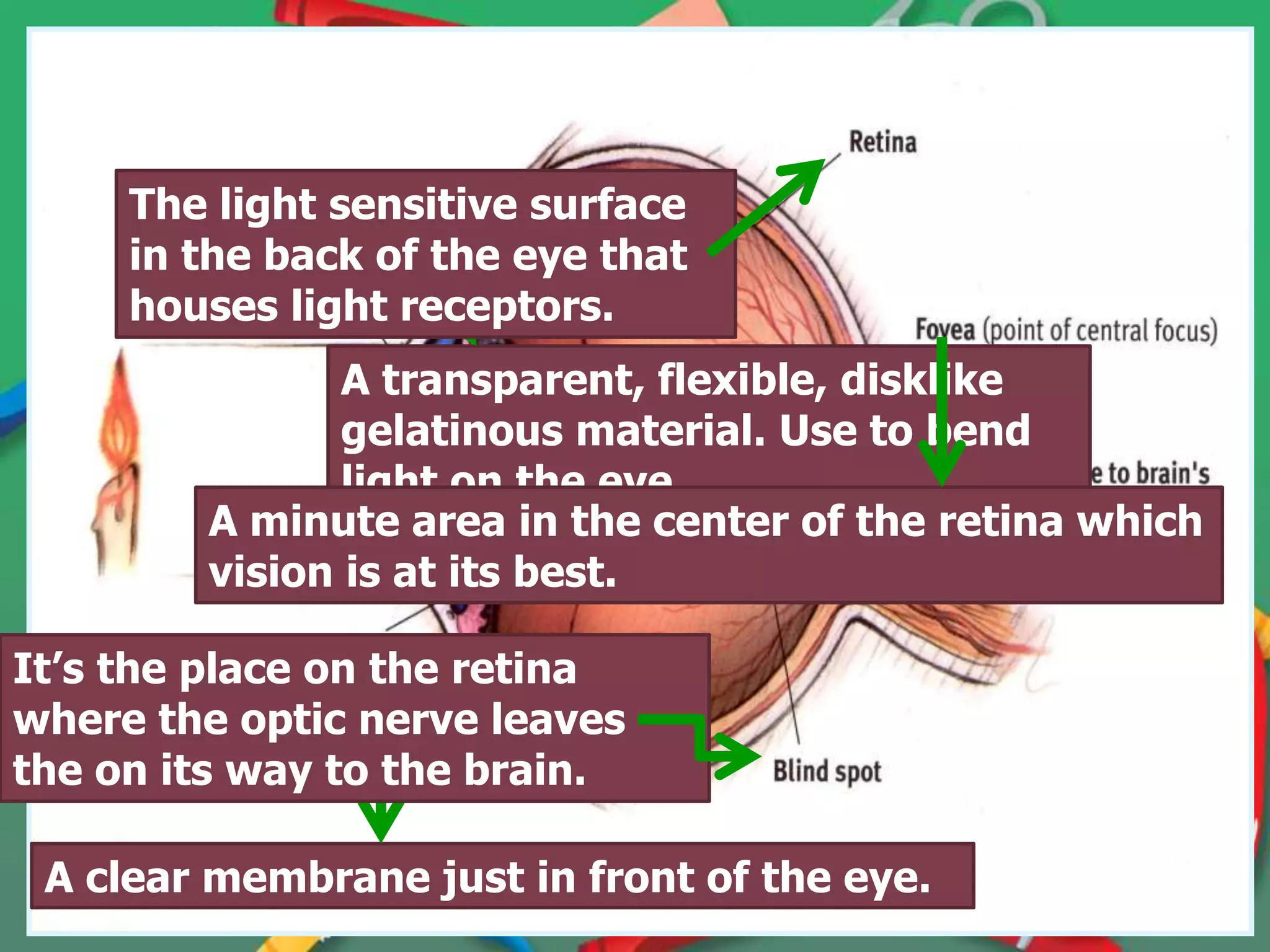 SENSATION AND PERCEPTION Psychology | PPTX