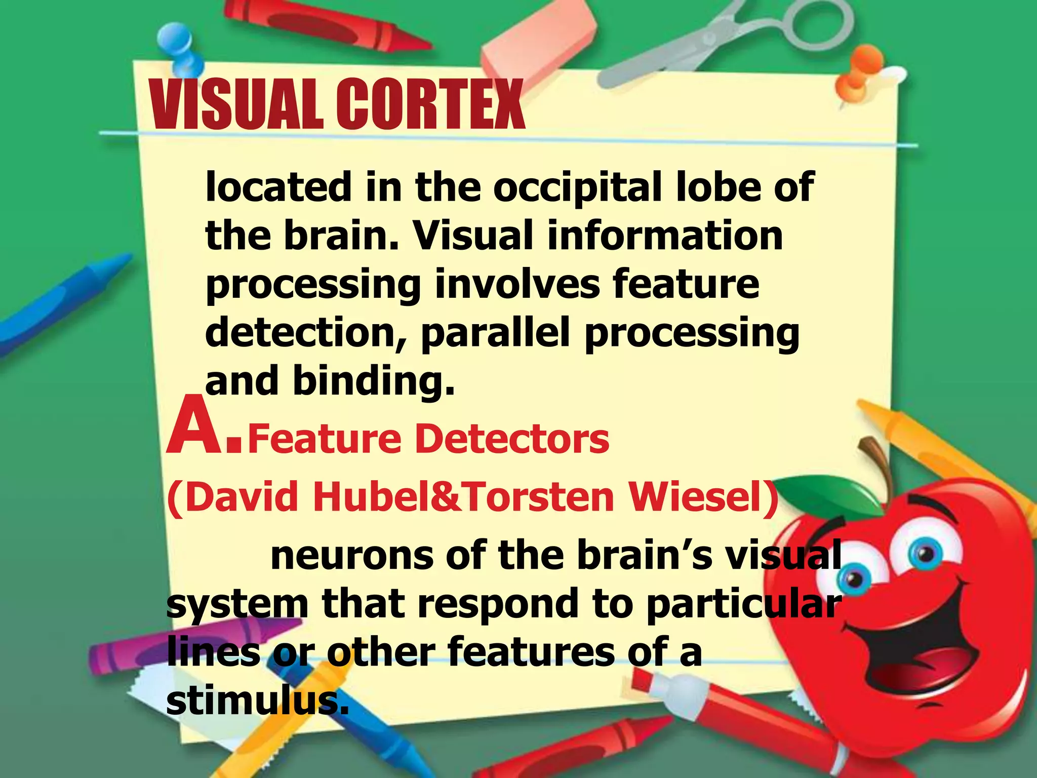 SENSATION AND PERCEPTION Psychology | PPTX