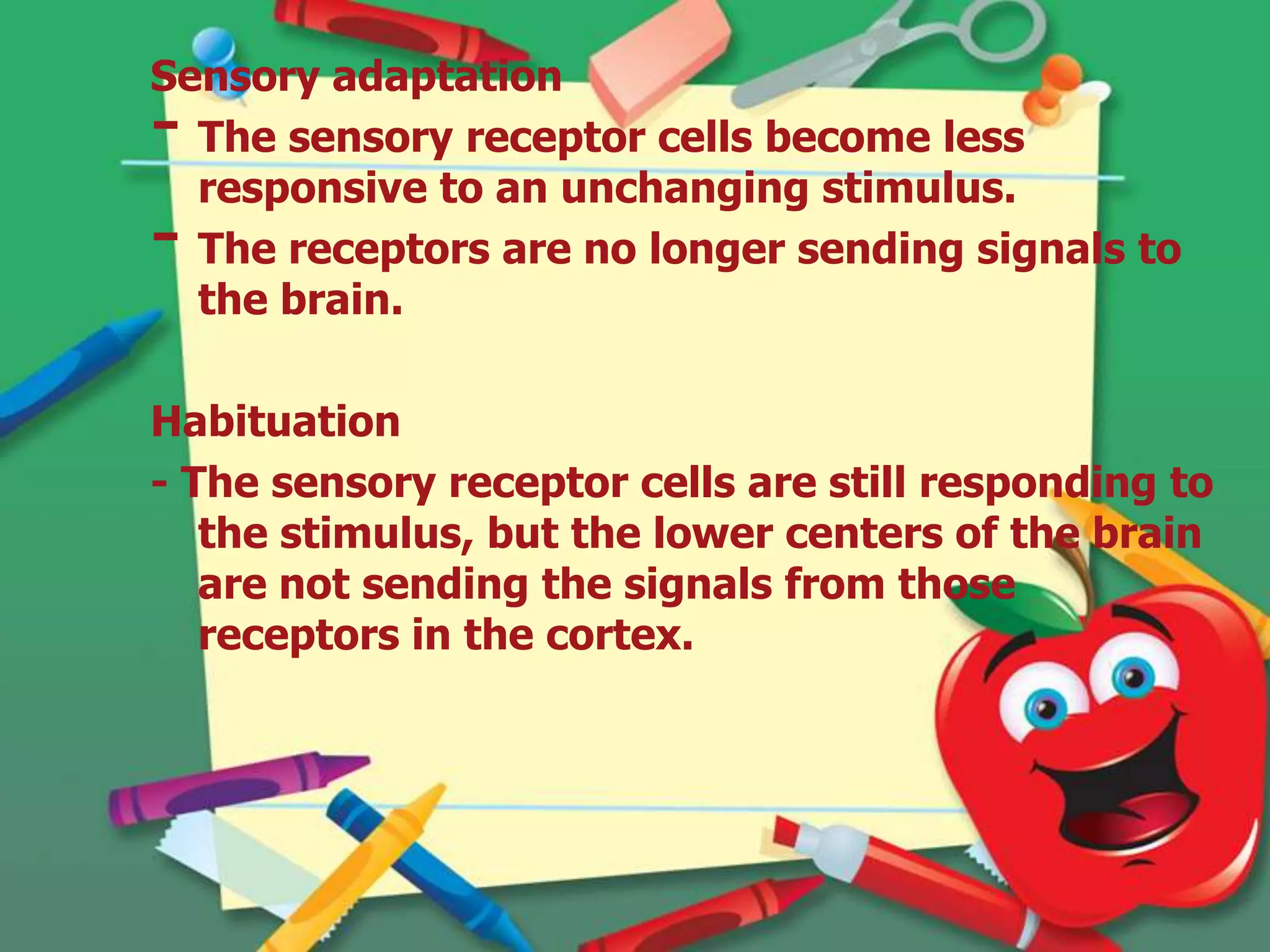 SENSATION AND PERCEPTION Psychology | PPTX