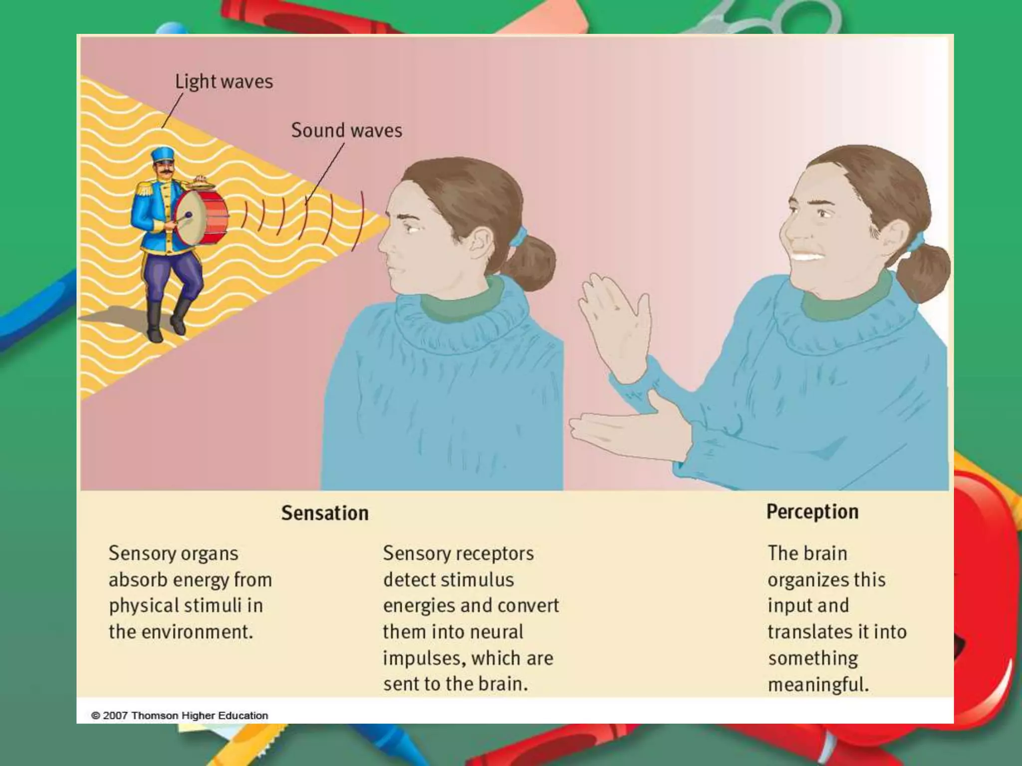 SENSATION AND PERCEPTION Psychology | PPTX