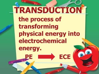 Transduction Psychology