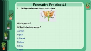 Chapter 5 Response in PLANTS.pptx