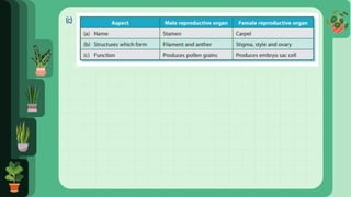 Chapter 5 Response in PLANTS.pptx