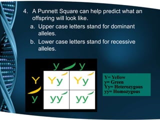 Chapter 5 section 1 notes | PPTX