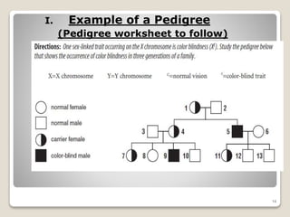 Chapter 5 section 2 notes | PPT