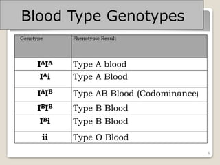 Chapter 5 section 2 notes | PPT