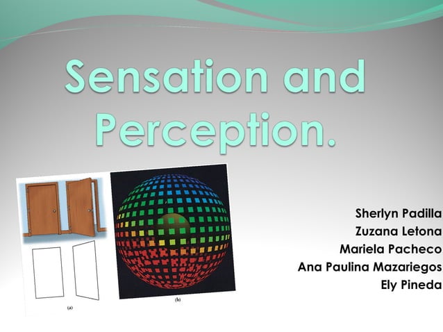 Chapter 5 sensation and perception 1 | PPT