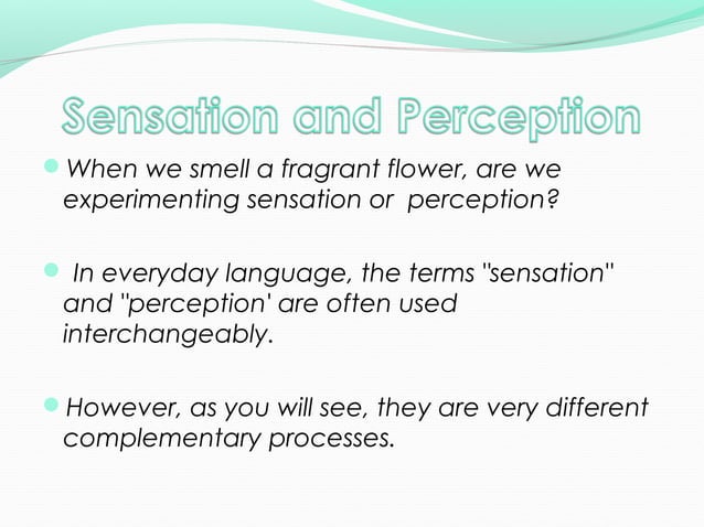 Chapter 5 sensation and perception 1 | PPT