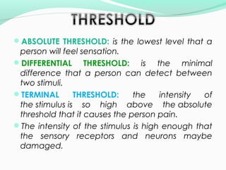 Chapter 5 sensation and perception 1 | PPT